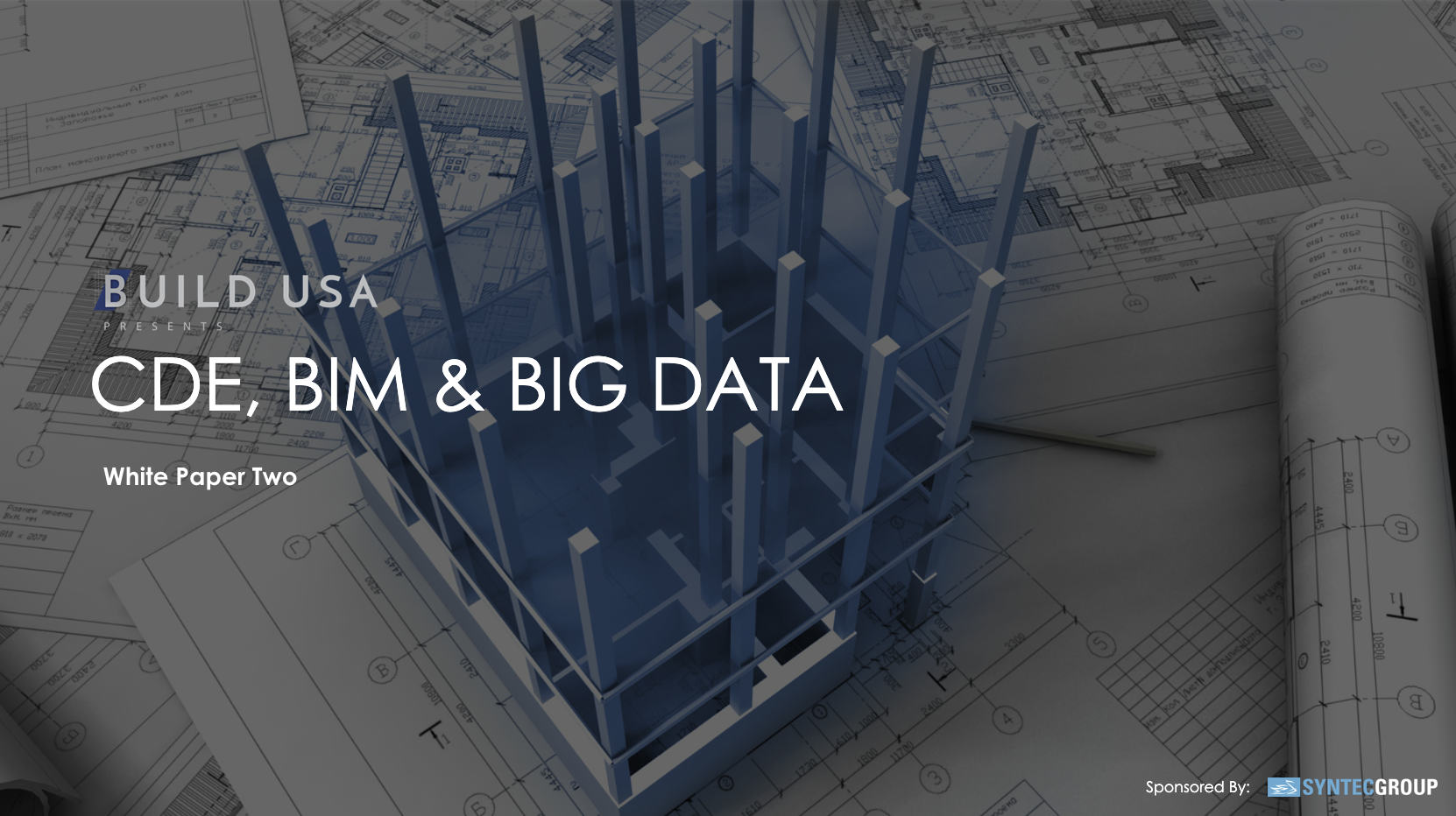 White Paper Two: CDE, BIM, & BIG DATA - Build Blog